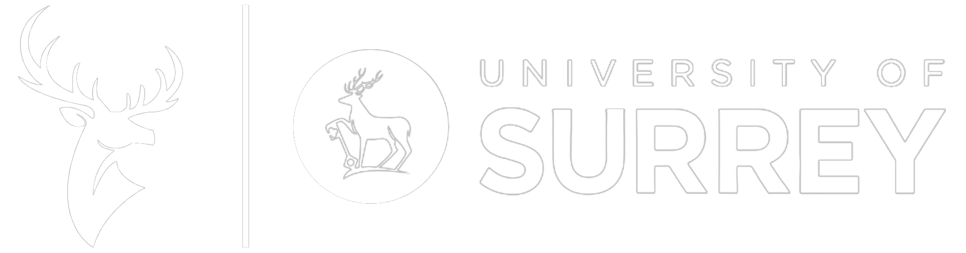 CompSoc — University of Surrey